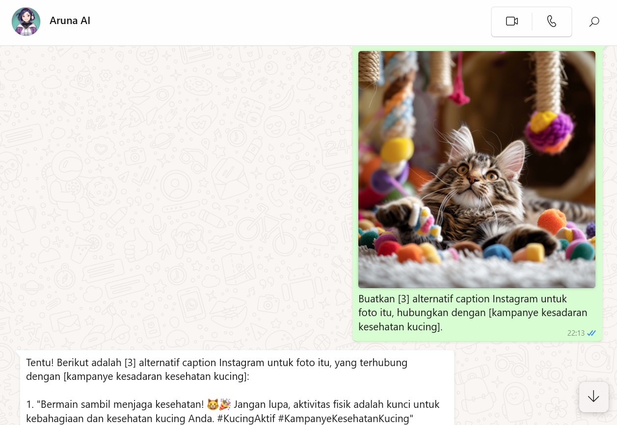 20 Contoh Prompt Aruna AI untuk Digital Marketer